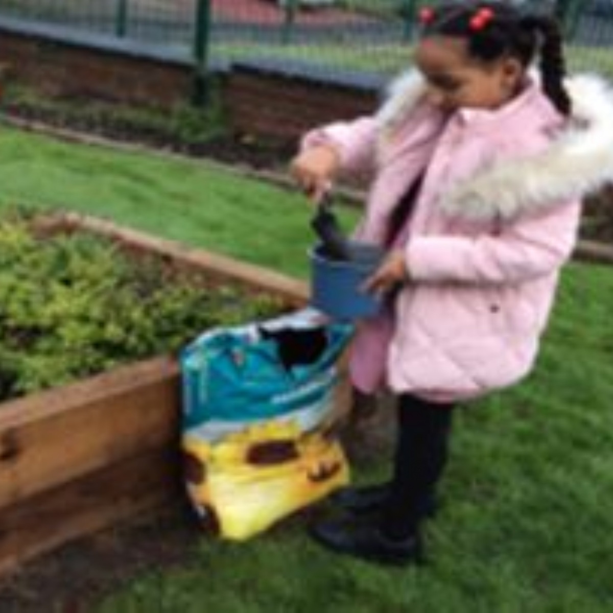 Temple Meadow Primary School - Bulb Planting