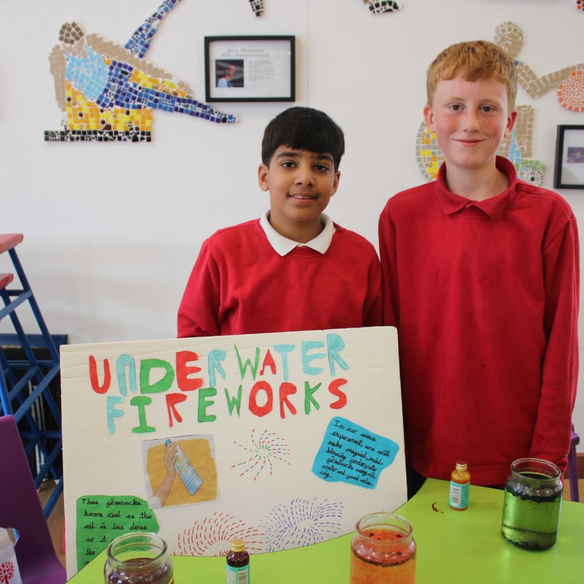 Temple Meadow Primary School - Science Fair